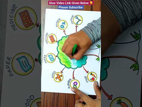 Importance of Tress Drawing | Things We Get From Plants Drawing | Importance of Trees Poster