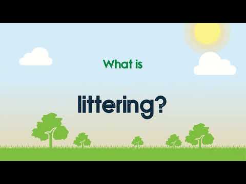What is Littering?