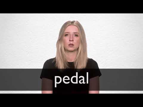 How to pronounce PEDAL in British English