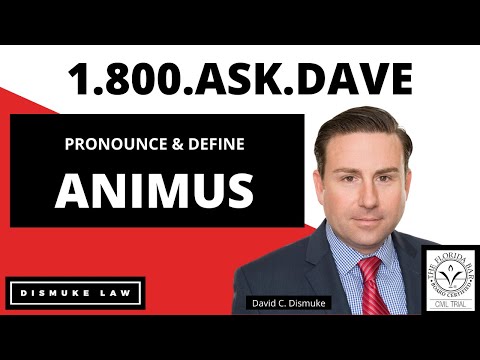 Properly pronounce and define animus