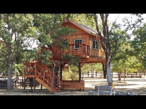 Treehouse building company in california: | Treehouse designs and ideas | treehouse builders