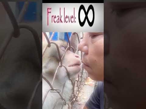 freak level: monkey