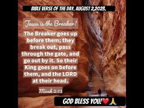 Bible Verse of the day. August 2,2023. #shorts #micah 2:12-13