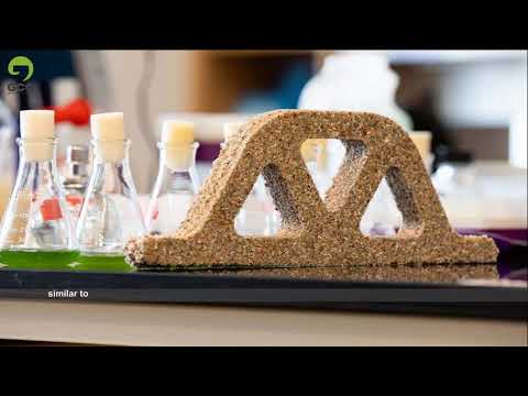 Living Concrete Made From Bacteria Used to Create Replicating Bricks - GCO