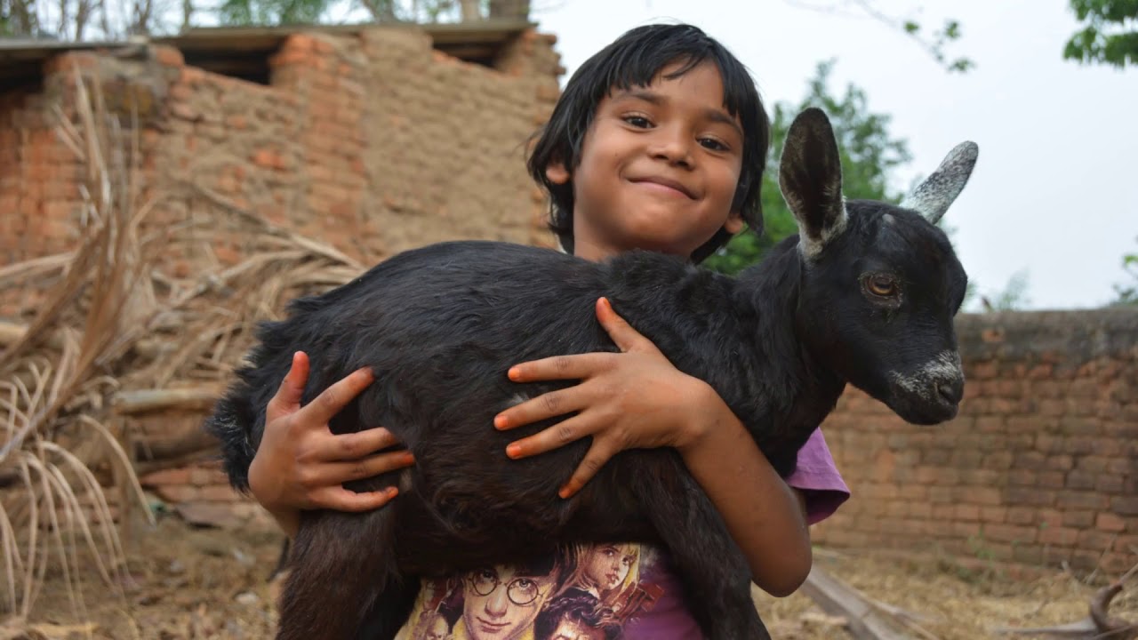 Remembering Michael Blümmel