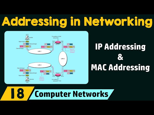 Understanding Addressing in Networking: Port, IP, and MAC | Galaxy.ai | Galaxy.ai
