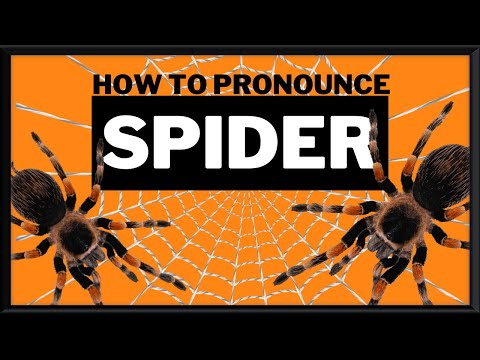 How to pronounce SPIDER