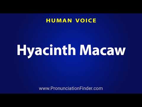How To Pronounce Hyacinth Macaw