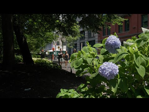 Canon Powershot V1 (sample footage with external VND) (6390C001)
