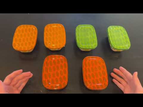 RachaelRay Nutrish Premium Wet Dog Food Review