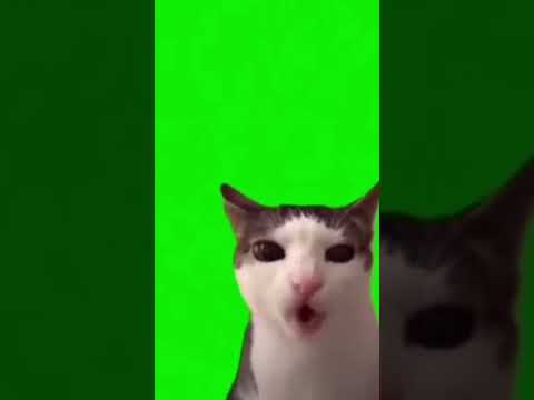 Cat Crunch Greenscreen 😹
