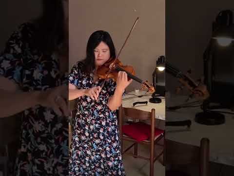 Italian Violin Georgi Nikolov of Cremona, Italy -Rare Model | Reverb