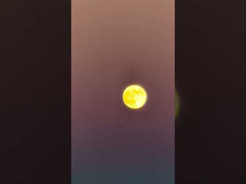 OCTOBER'S SUPERMOON | HUNTER'S MOON | FULL MOON #beautiful #supermoon #nightsky #moon #subscribe