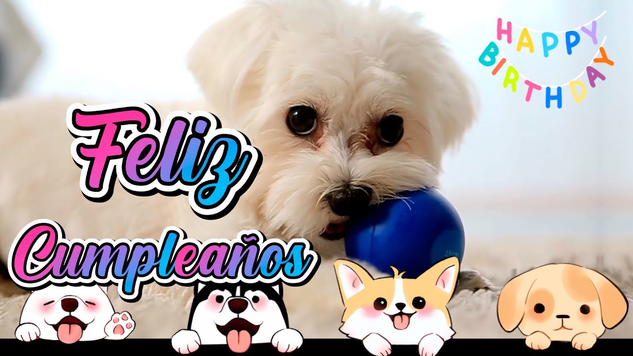 FELIZ CUMPLEAÑOS PERRITOS TIERNOS😍🐶🐶🐕 🐩