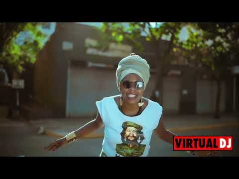 Reggae Music Video Mix by Dj Timer Volume 22