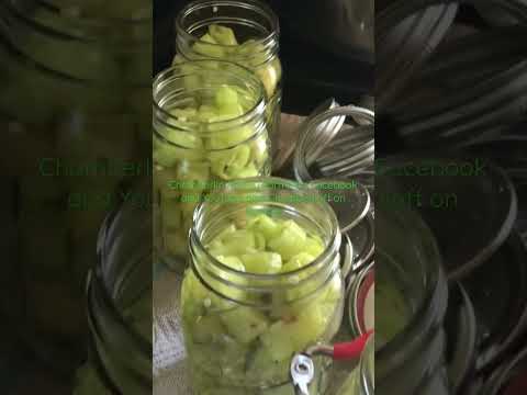 Canning Peppers Sneak Peak. Chamberlin Family Farms on Facebook/YouTube also Chamberlinff on Rumble
