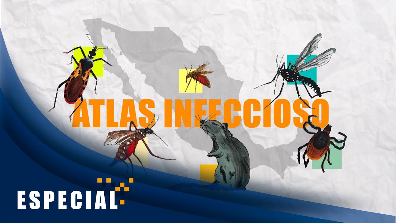 UN ATLAS PARA HACER FRENTE A LAS ENFERMEDADES INFECCIOSAS