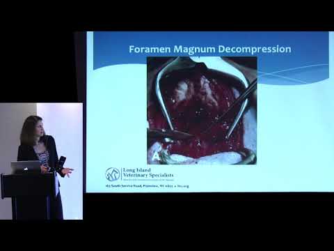 "Dura Cellular Change in Cavalier King Charles Spaniels with Chiari" - Catherine Laughing, DVM