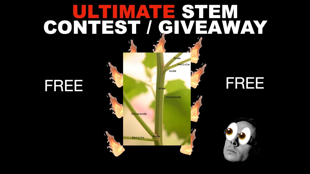 ULTIMATE PRODUCTION COLLAB TUTORIAL (STEM GIVEAWAY)