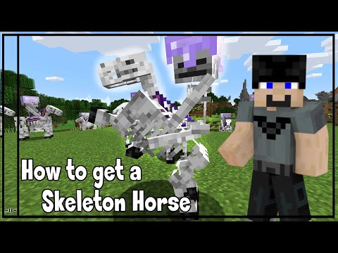 How to Get Skeleton Horses In Minecraft : 5 min Tutorial