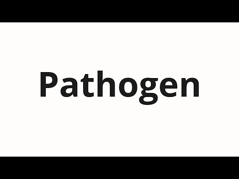How to pronounce Pathogen
