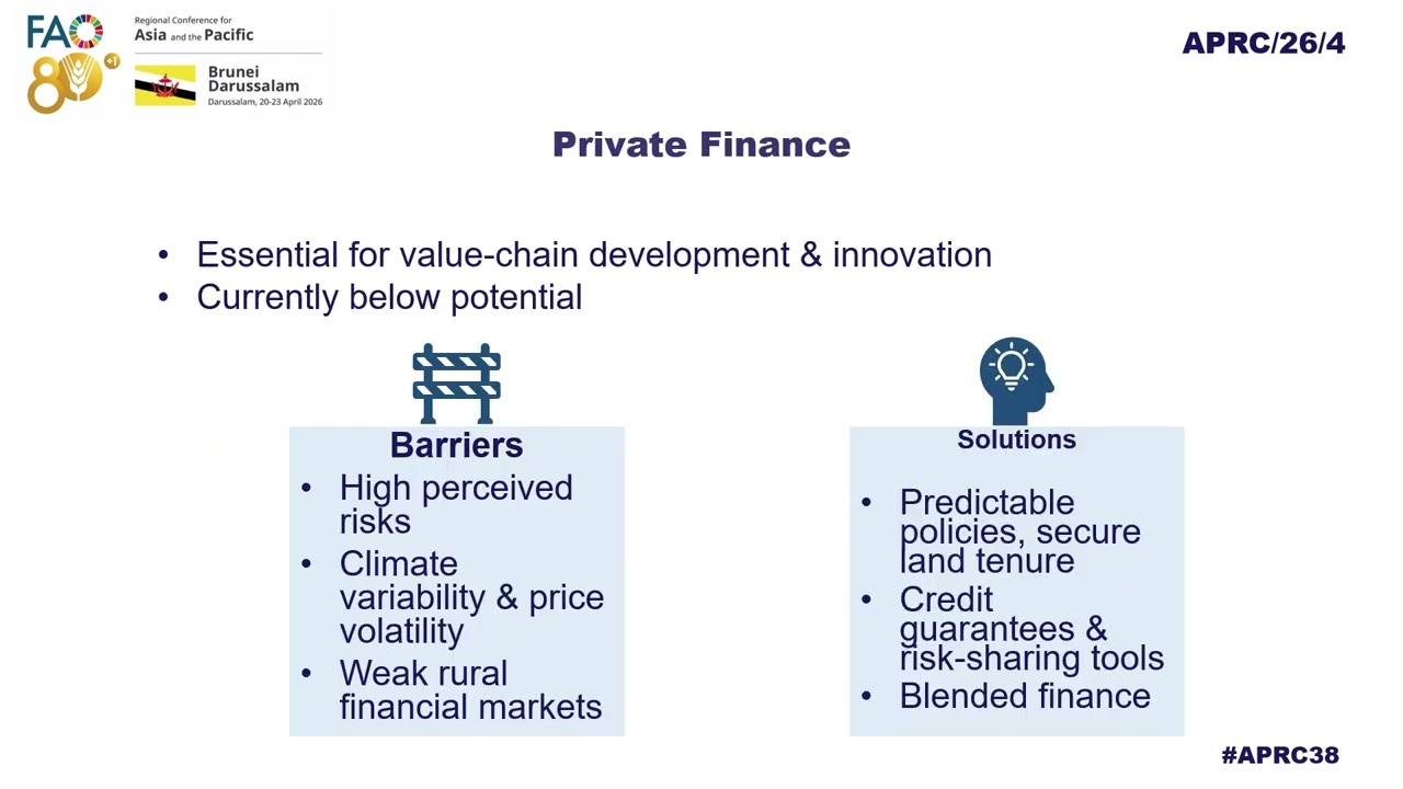APRC/26/4 Financing and investments for agrifood systems transformation (Xiaoruo Jiang)