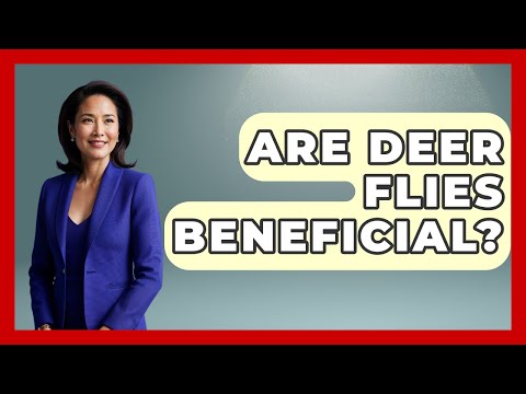 Are Deer Flies Beneficial? - Reptilian Wonders