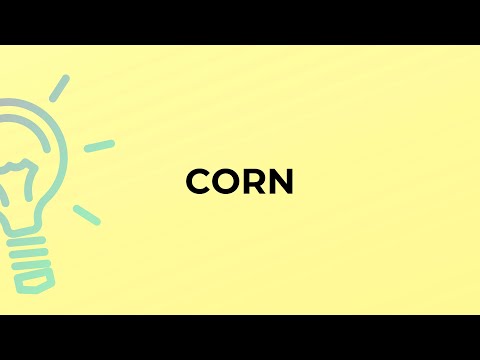 What is the meaning of the word CORN?