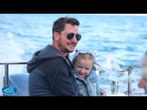 Half term dolphin spotting boat trip