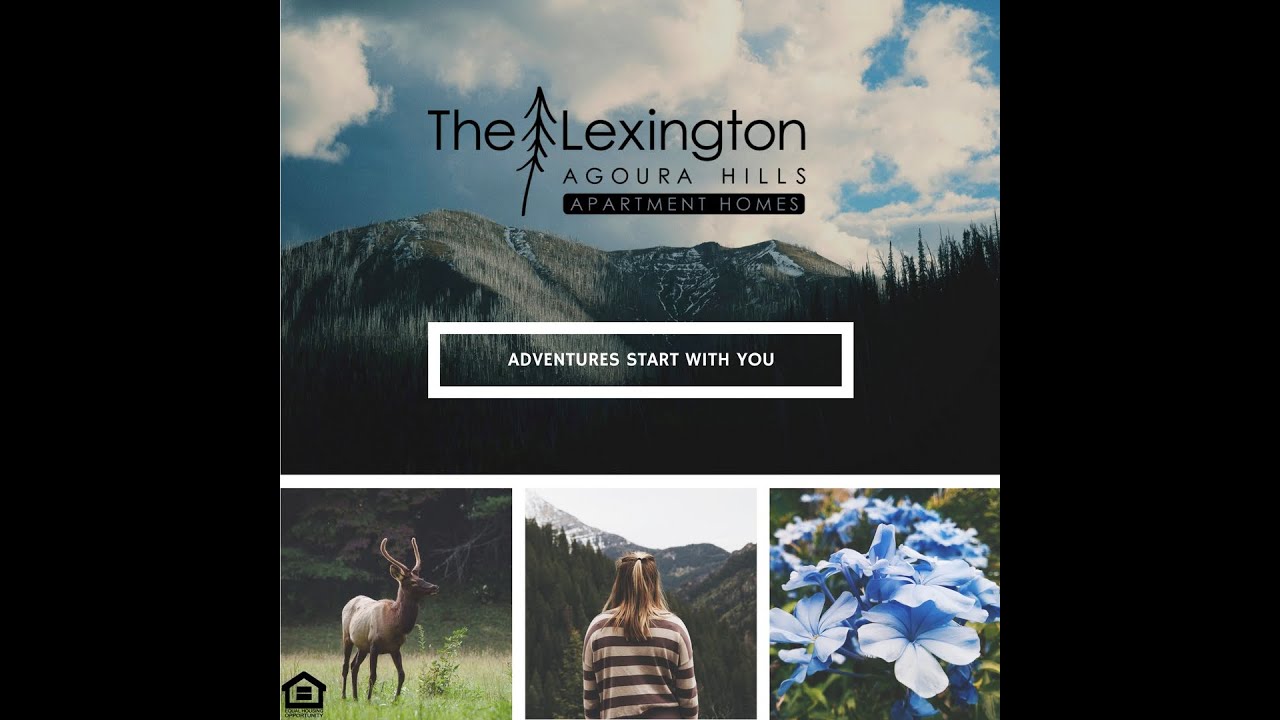 Downstairs 1 Bedroom Floor Plan A - 763 Sq Ft