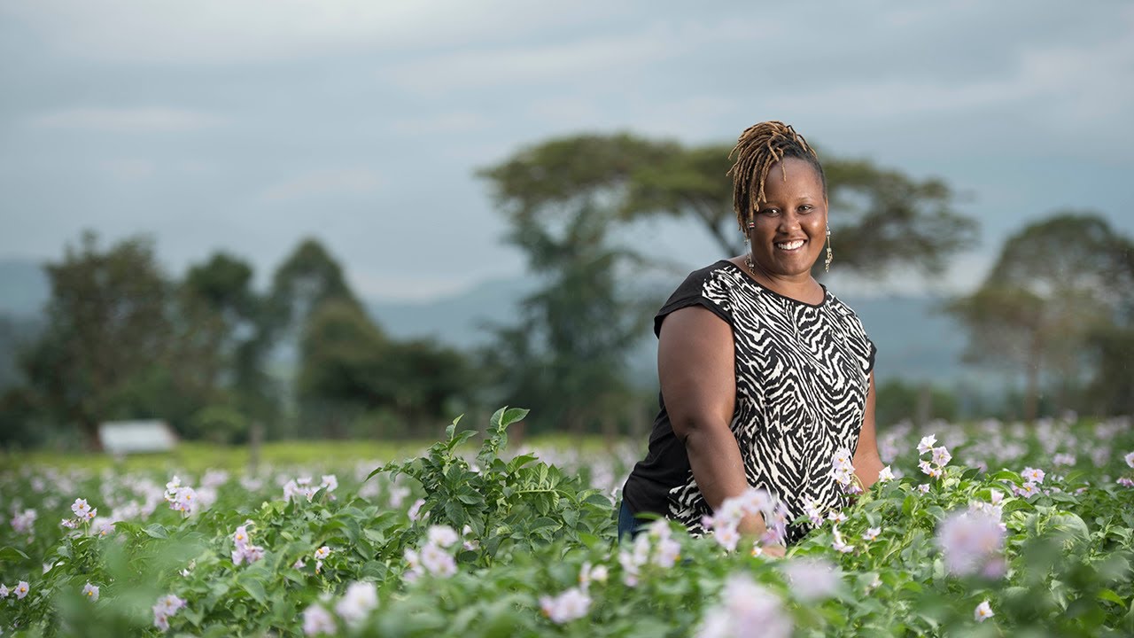 Innovations towards sustainable agri-food system transformation