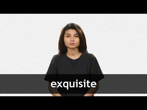 EXQUISITE definition in American English | Collins English Dictionary