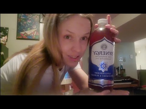 Synergy kombucha gingerberry review