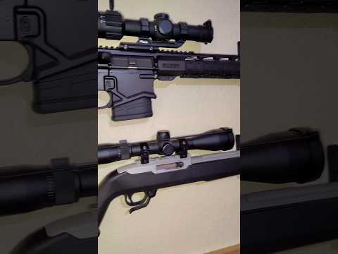 Ruger SFAR 308 | Ruger 10/22