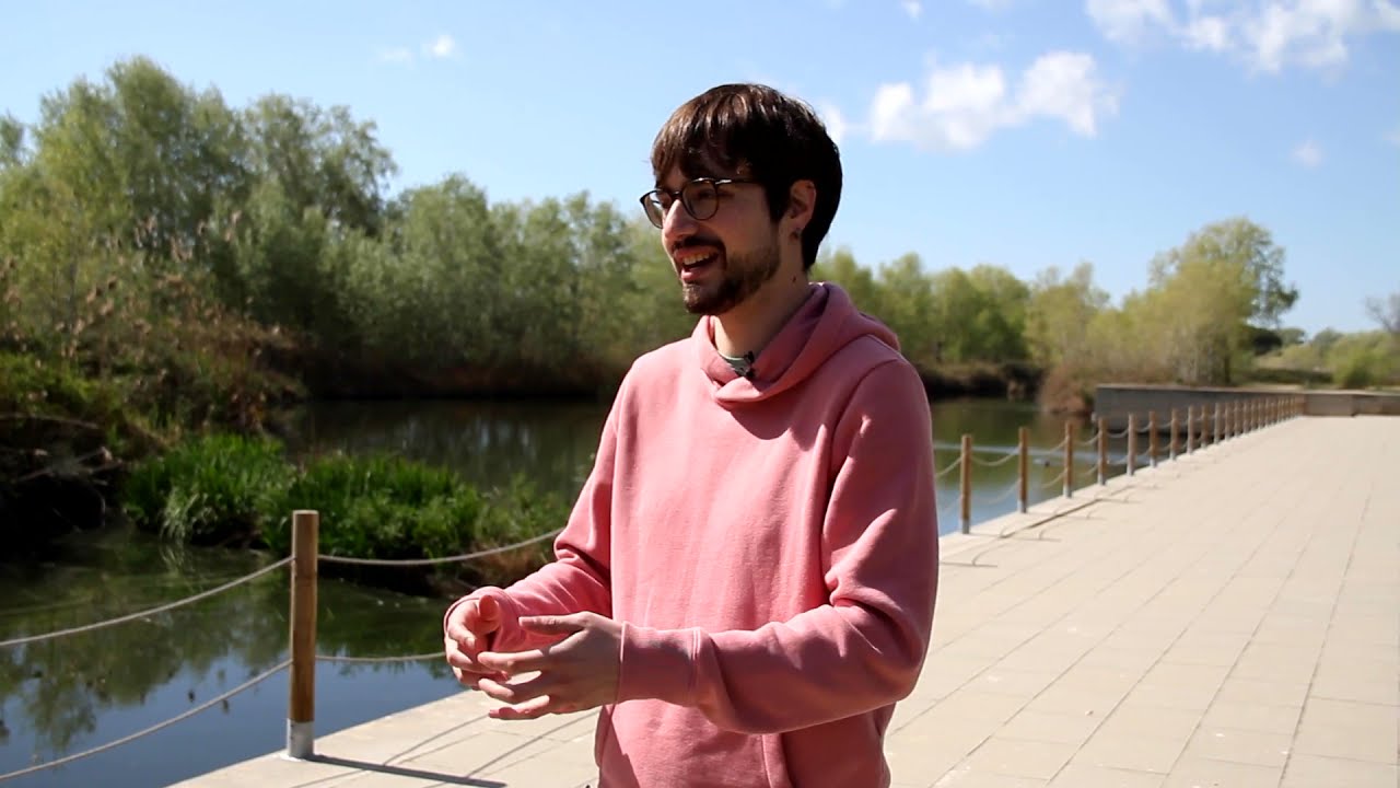 Entangled quantum memories for a quantum repeater: A step closer to the Quantum Internet