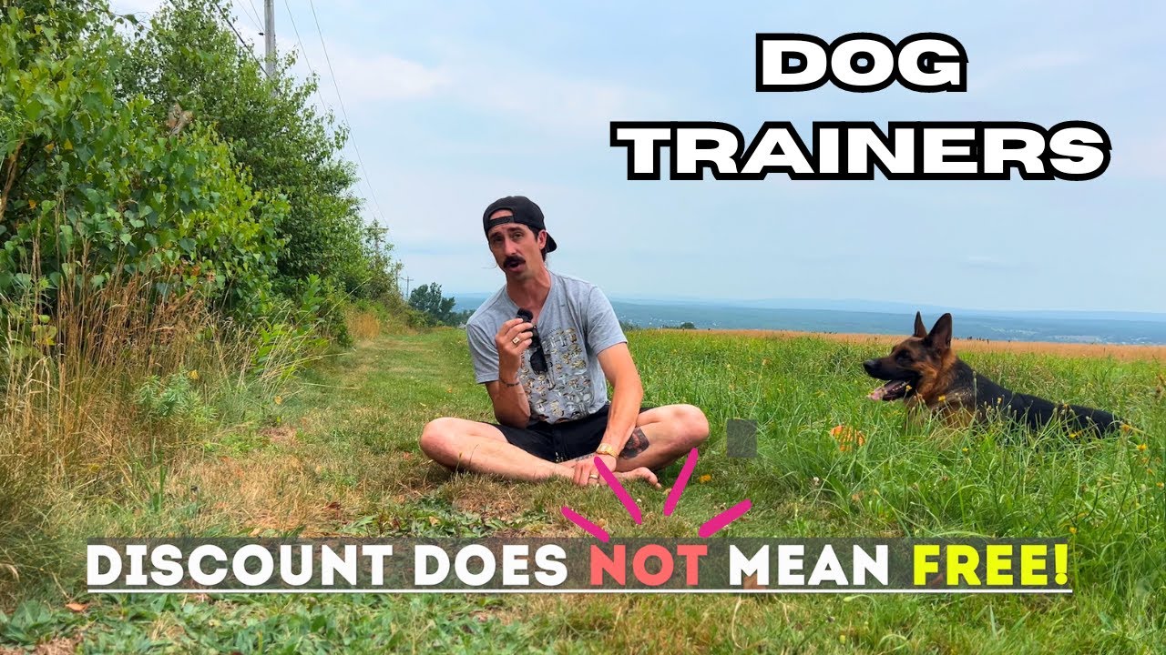 Pricing your dog training services