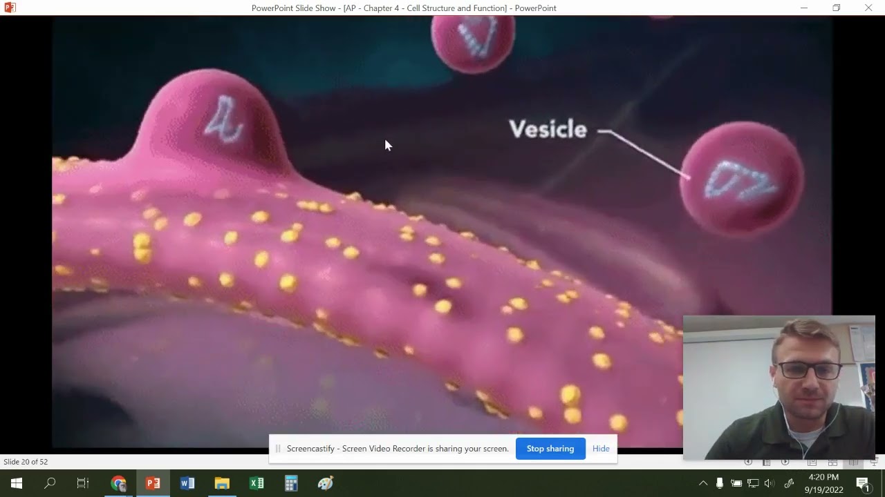 AP - Chapter 4 - Cell Structure and Function