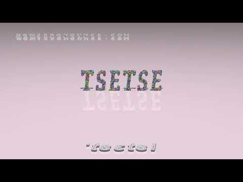 tsetse - pronunciation
