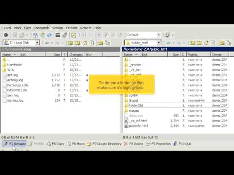 Managing files in WinSCP