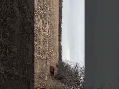 Nebraska hunting lease now available on HLRBO!