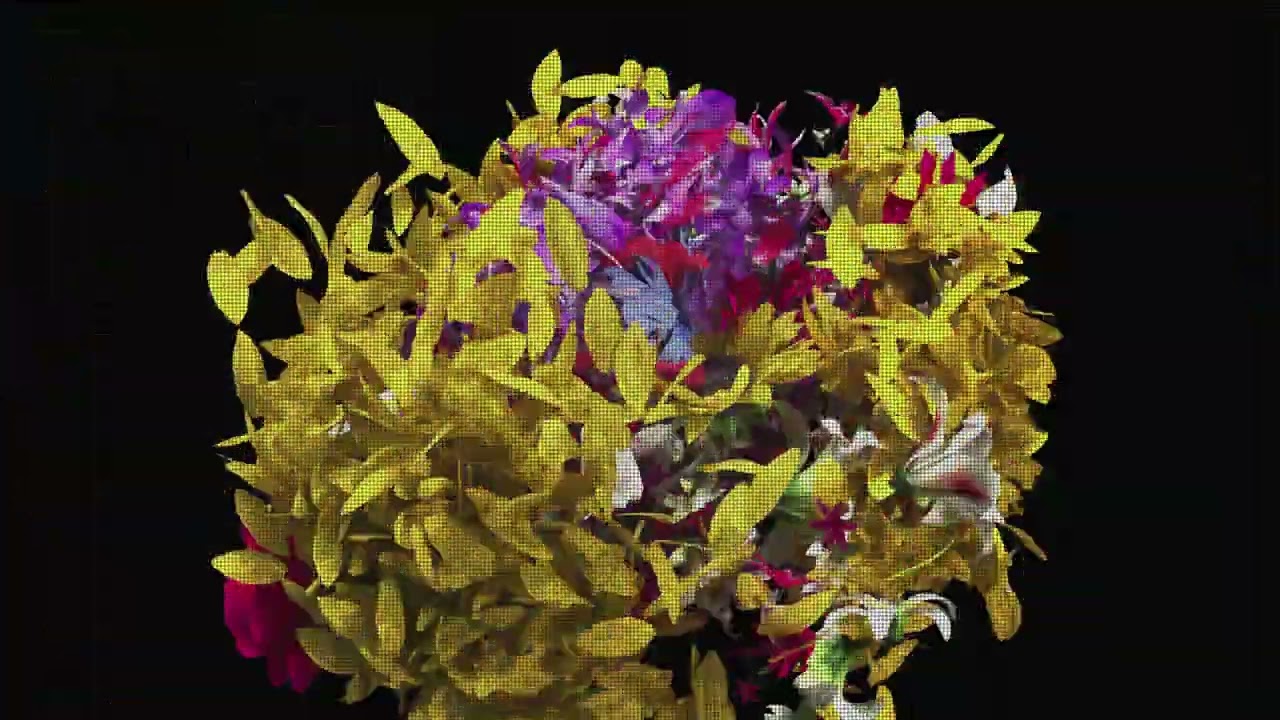 Pushing the boundaries of LED image processing: How Barco's Infinipix ...