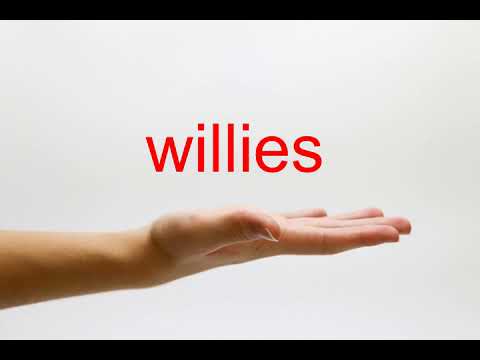 How to Pronounce willies - American English
