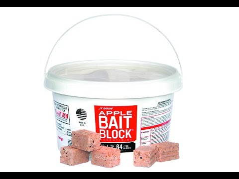 J T Eaton 704-AP Block Anticoagulant, Apple Flavor, for Mice and Rats rodenticide Bait - Overview