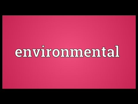 Environmental Meaning