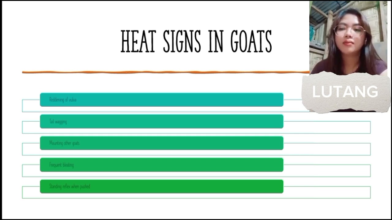 RAISE ORGANIC SMALL RUMINANTS