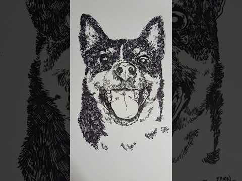 Joined a new #reddit thread where you do drawing challenges, I rarely draw animals, so why not.🐶
