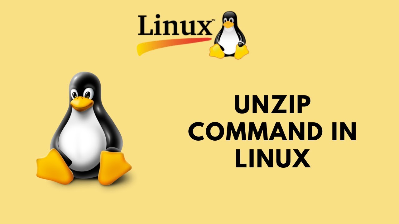 Linux Command Line Basics Tutorials - unzip Command in Linux