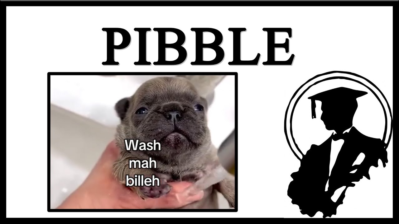 Pibble Wants Its Belly Washed