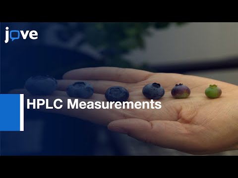 Nondestructive Prediction: Ingredient Contents-Blueberries: NIRS l Protocol Preview