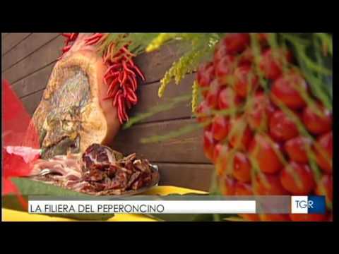 RAI 3 TGR Calabria - Progetto PEPIC